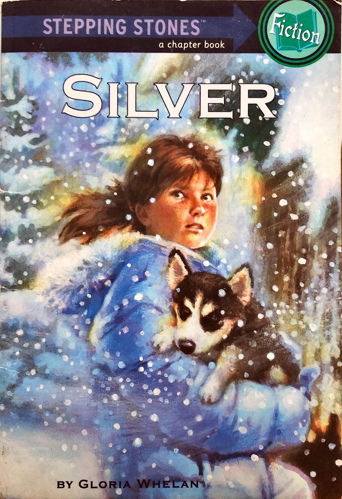 Sliver [Amazing, not too Easy Chapter Book] 챕터북 G4 - 눈폭풍의 무서움 찰스샘영어 ChECl