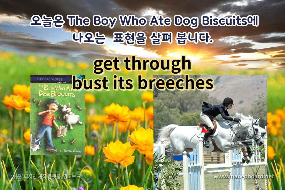 The Boy Who Ate Dog Biscuits [Delightful, not too Easy Reading] G2