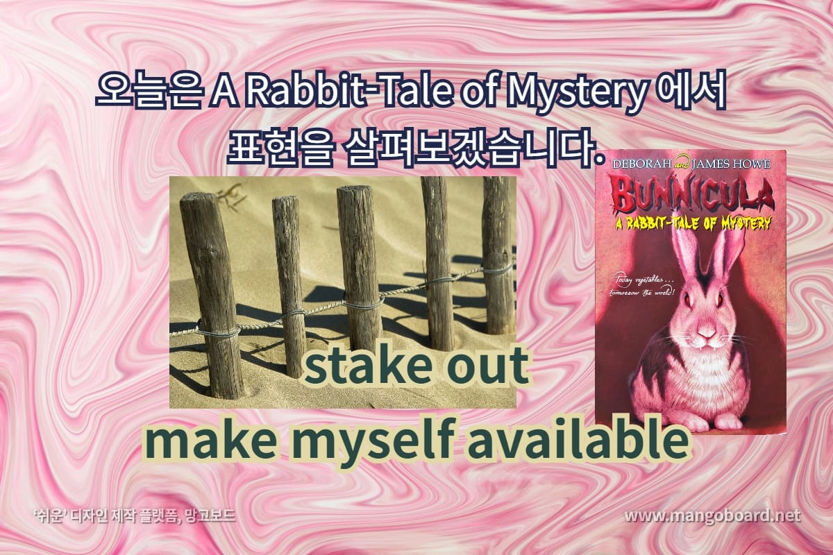 A Rabbit-Tale of Mystery [Delightful, not too Easy Reading] 챕터북 G4